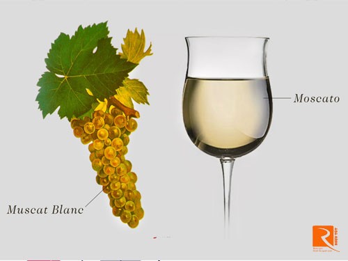 Rượu Moscato có những kiểu dáng nào?