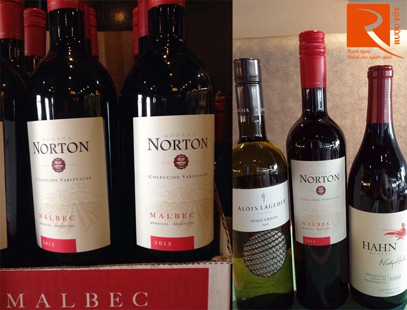 Rượu Vang Norton Malbec Coleccion Varietales Bodega Chính Hãng