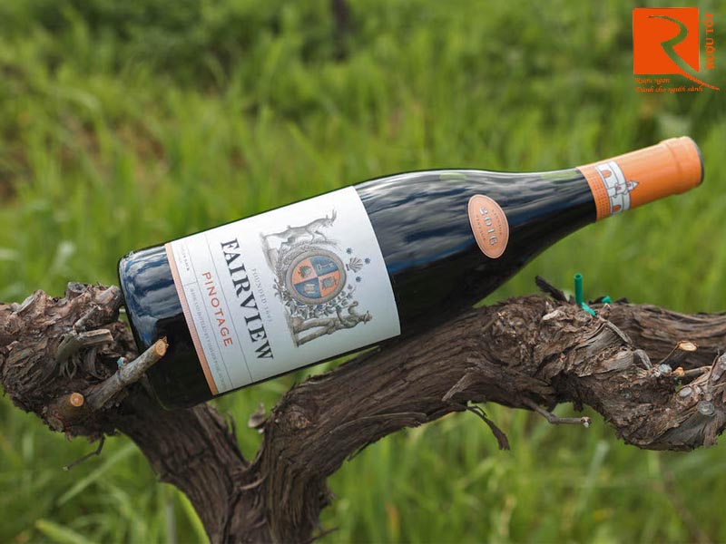 Rượu vang Fairview Pinotage Nhập khẩu chính hãng